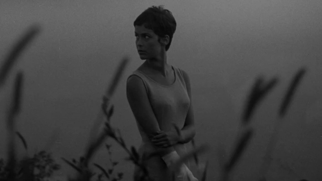 Hello Vera (1967) | MUBI