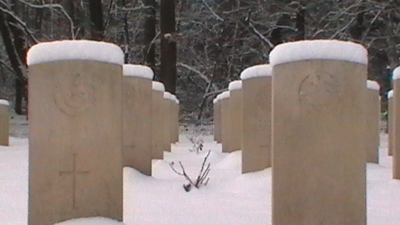 Dehumanized (2021) | MUBI