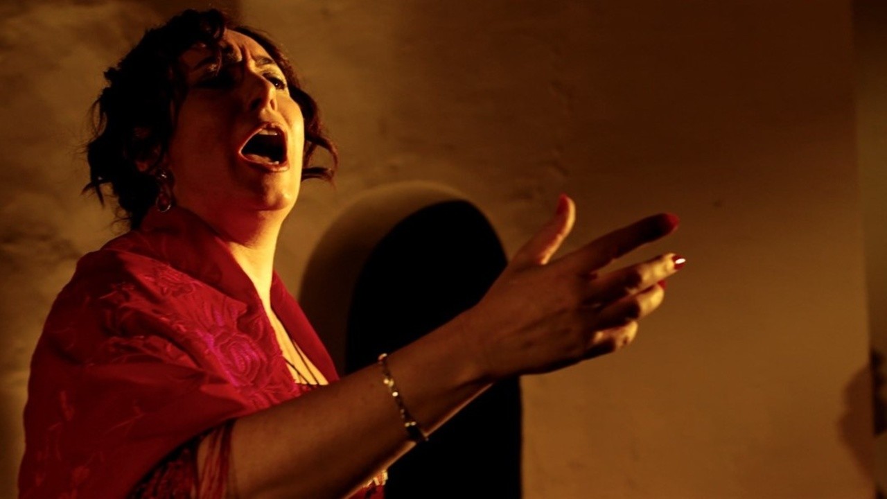 Echo of Everything (2023) | MUBI