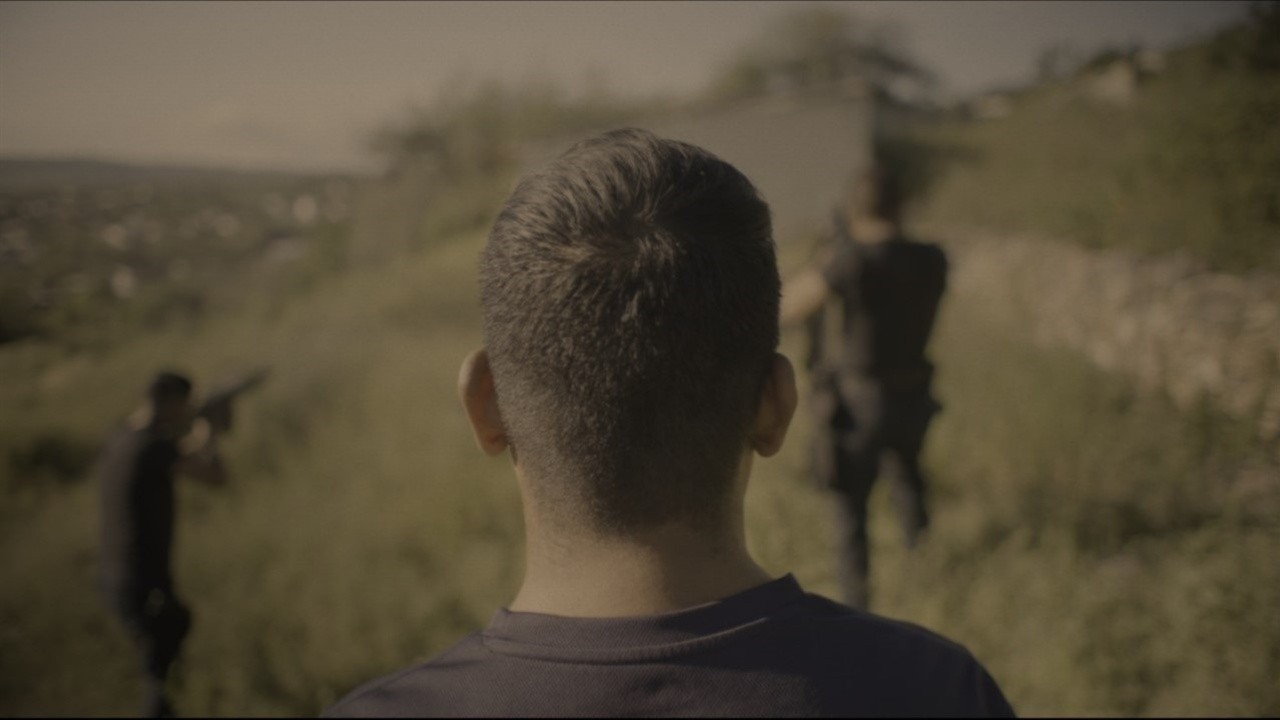 A Wolfpack Called Ernesto (2023) | MUBI