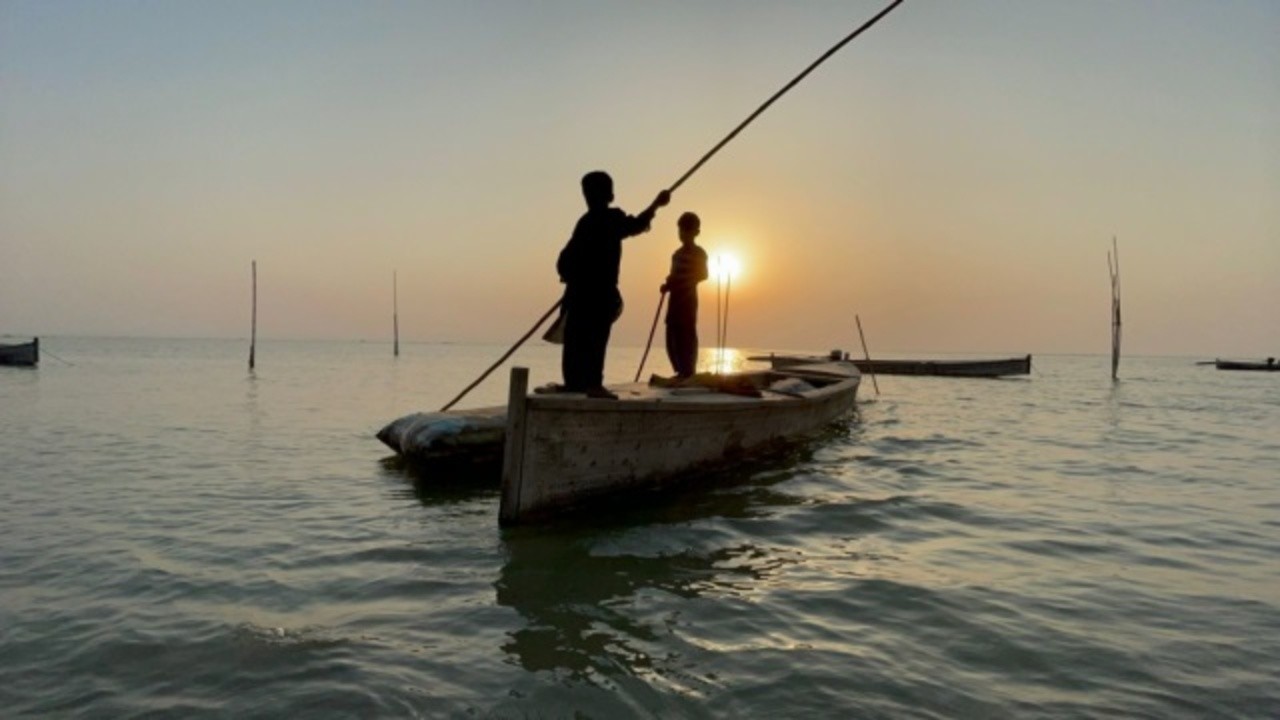 Floating Birds (2022) | MUBI