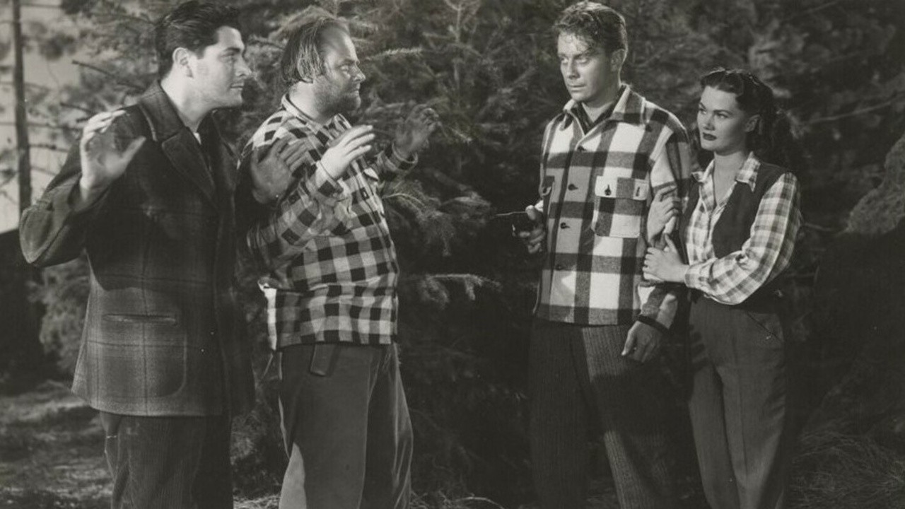 Timber Fury (1950) | MUBI