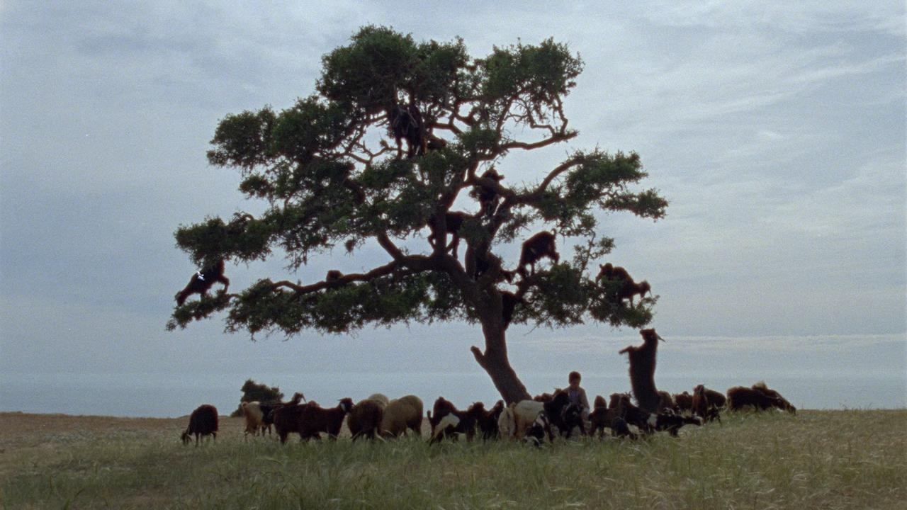 Mokhtar (2010) | MUBI