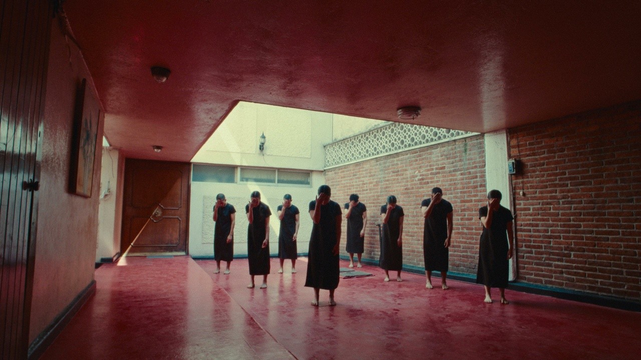 Circle (2022) | MUBI