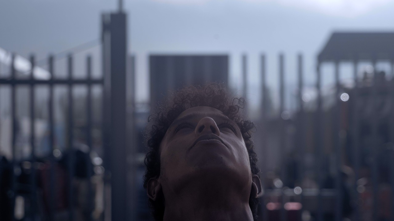 A Place to Dive (2022) | MUBI