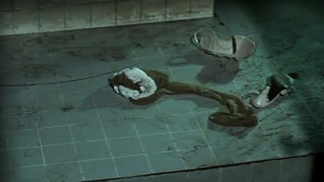 Angel Guts: Nami (1979) | MUBI