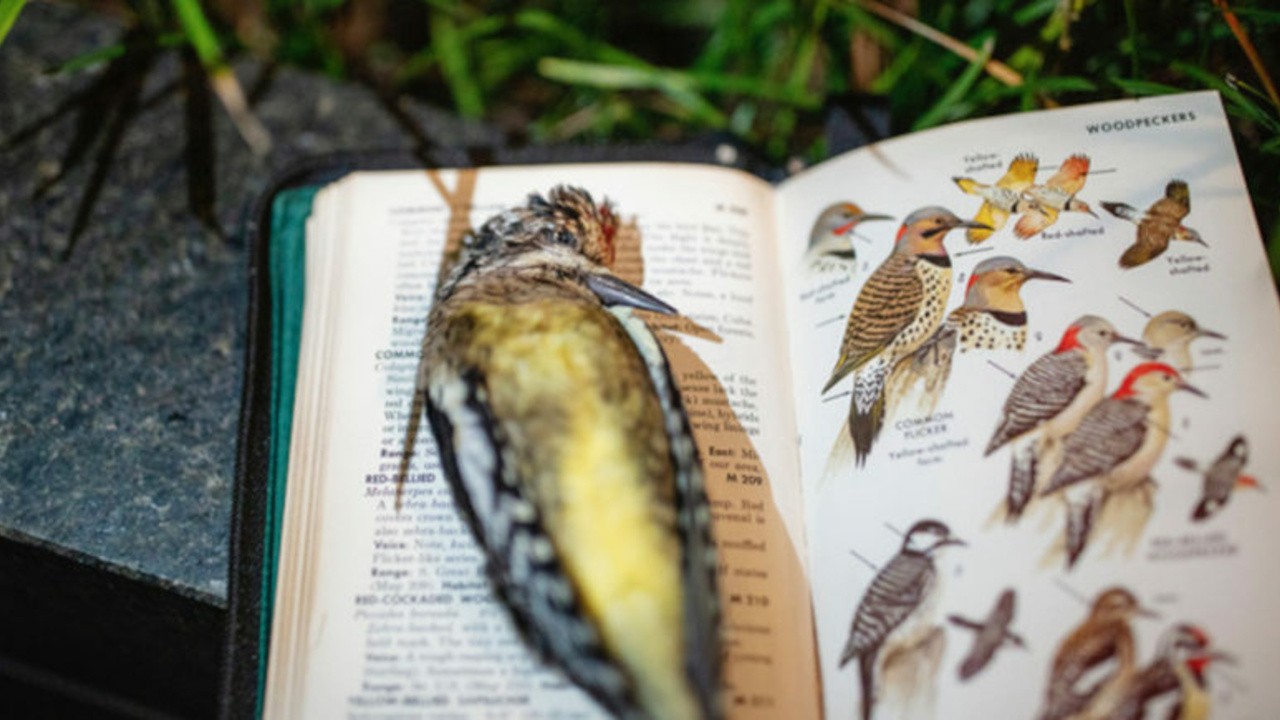 Lights Out (2023) | MUBI