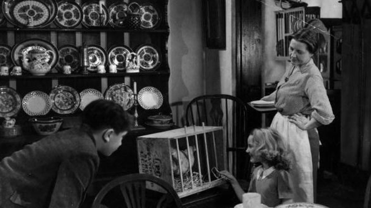 Trouble at Townsend (1946) | MUBI