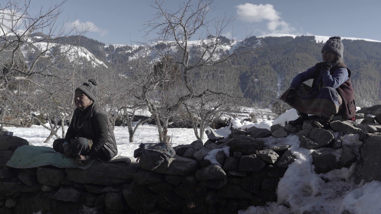 No Winter Holidays (2023) | MUBI