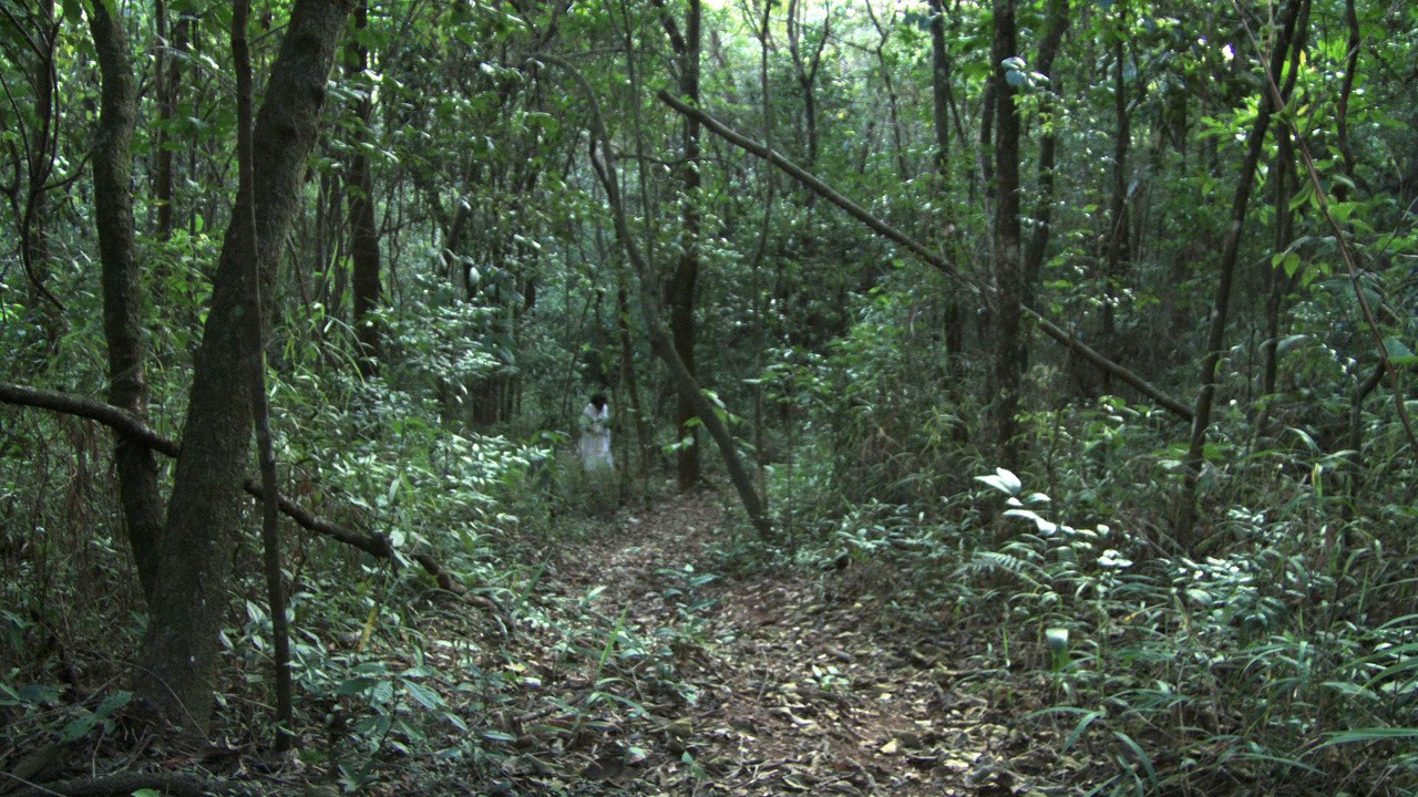 Something in the Woods (2023) | MUBI