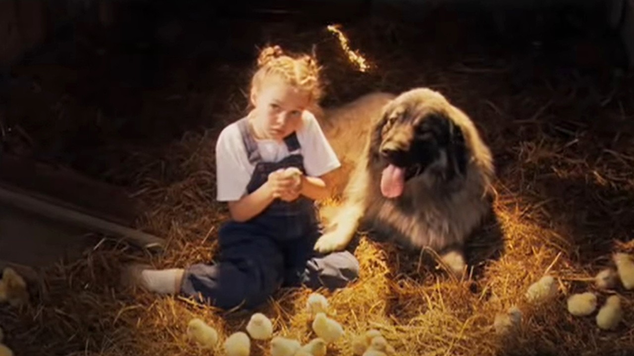 Stormheart (2008) | MUBI