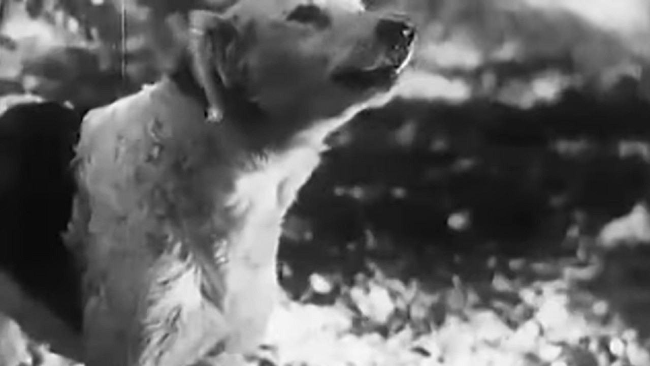 Trailing the Killer (1932) | MUBI