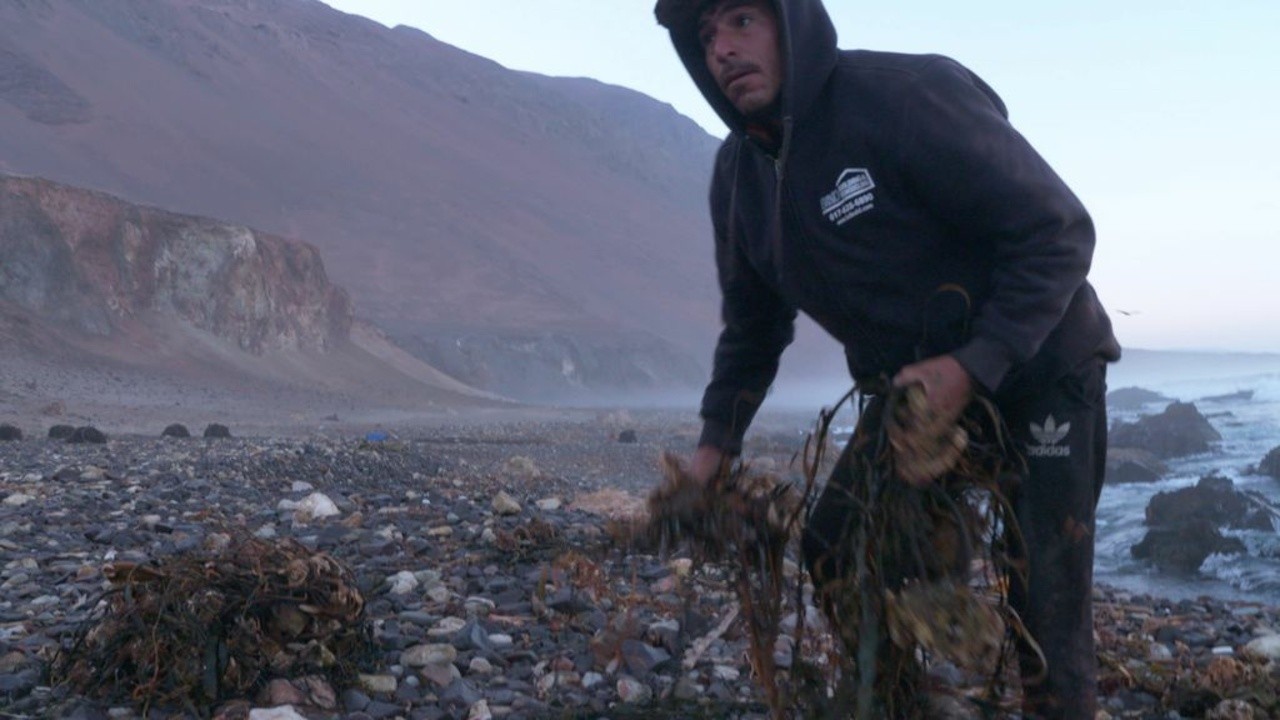 The First Days (2023) | MUBI