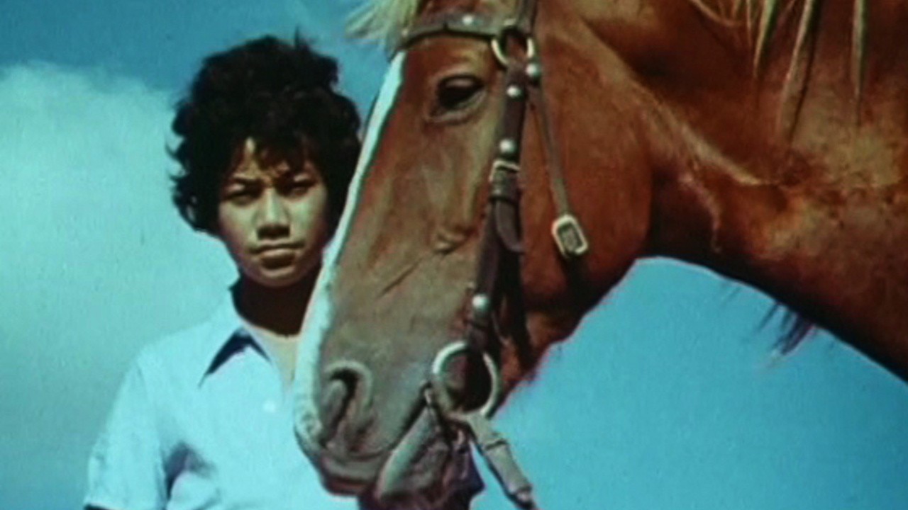 Rangi's Catch (1973) | MUBI