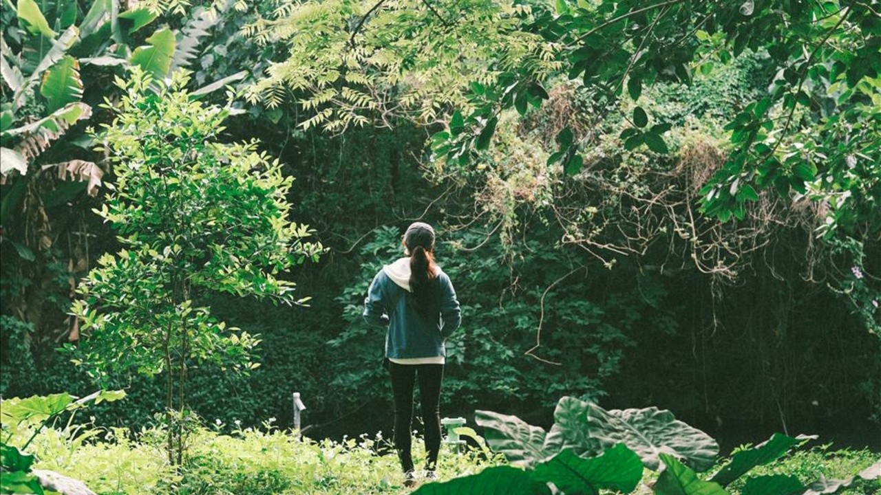 A Beautiful Bird Day (2023) | MUBI