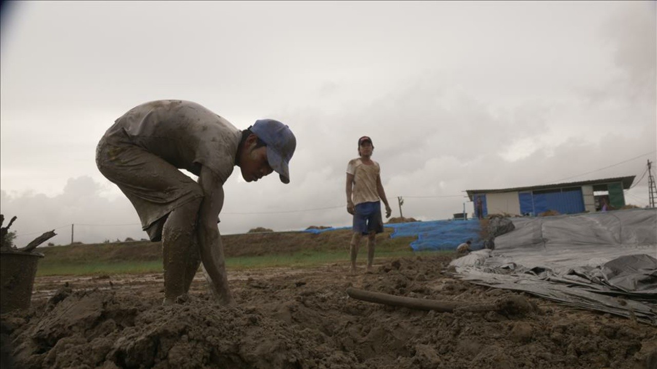 Diamond Marine World (2022) | MUBI