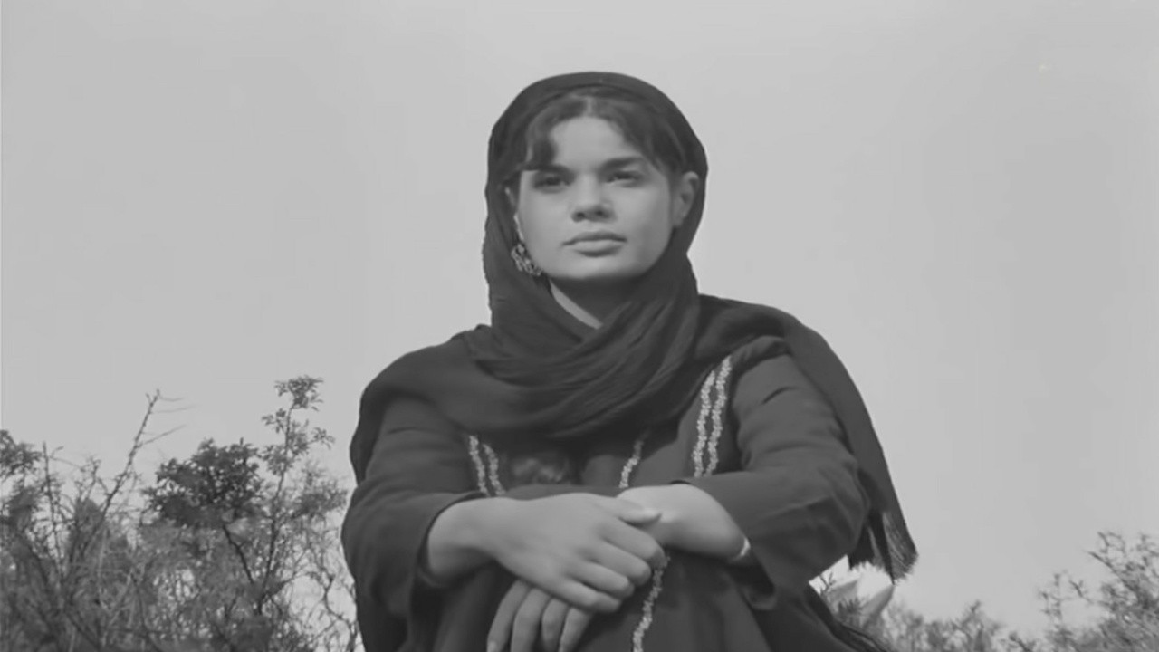 The Truck Driver (1966) | MUBI