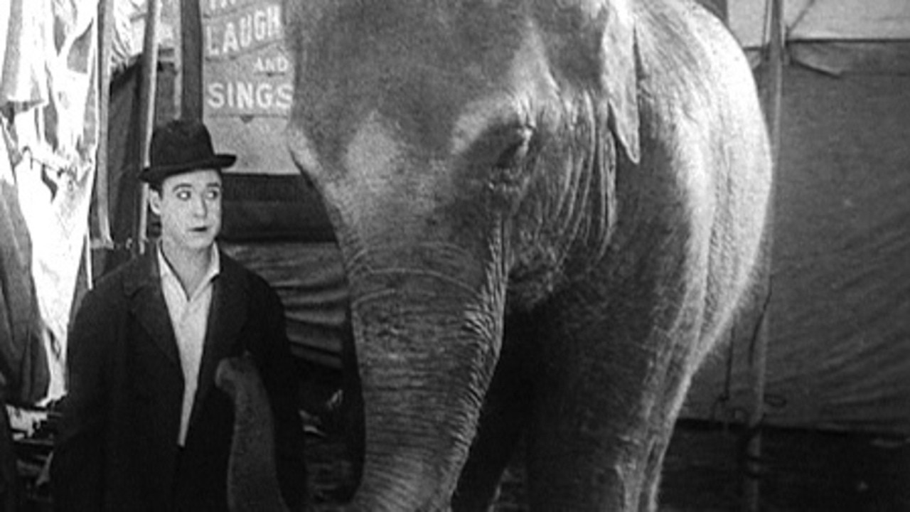 Remember When? (1925) | MUBI