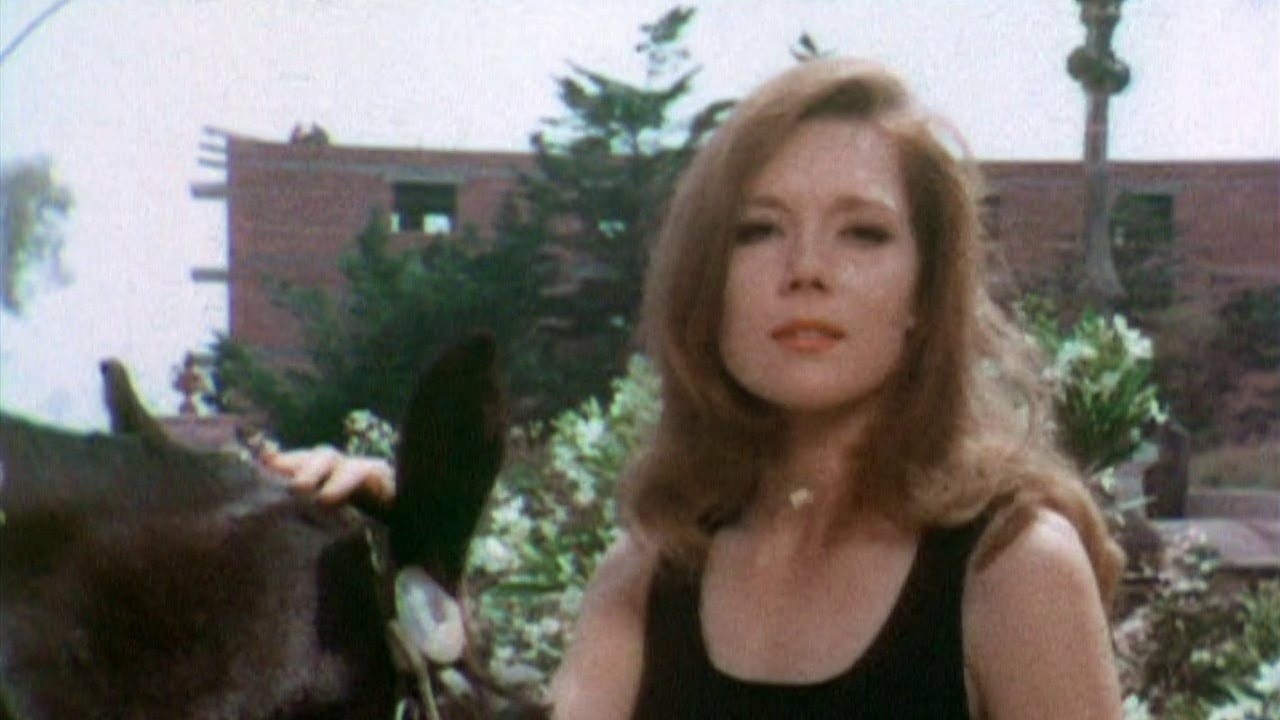 Minikillers (1969) | MUBI