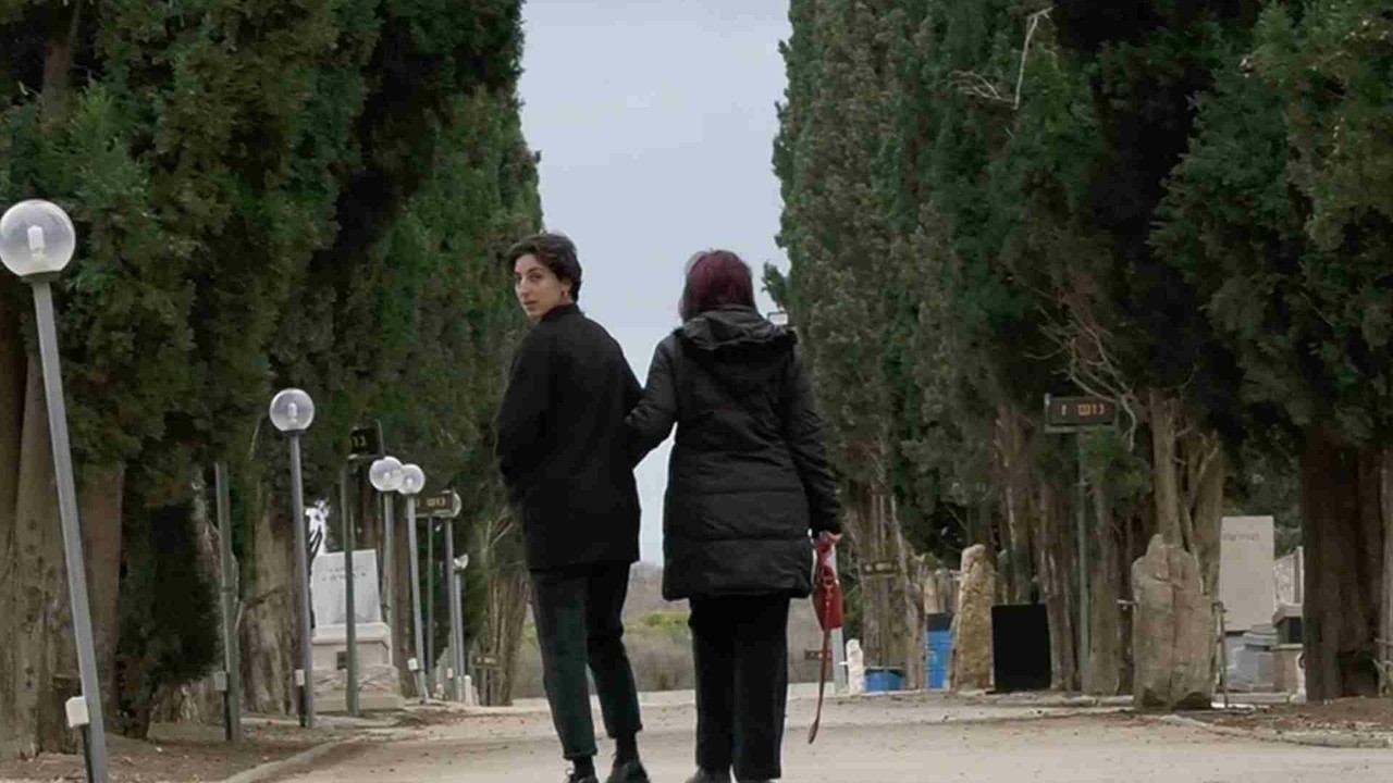 They All Died (2023) | MUBI