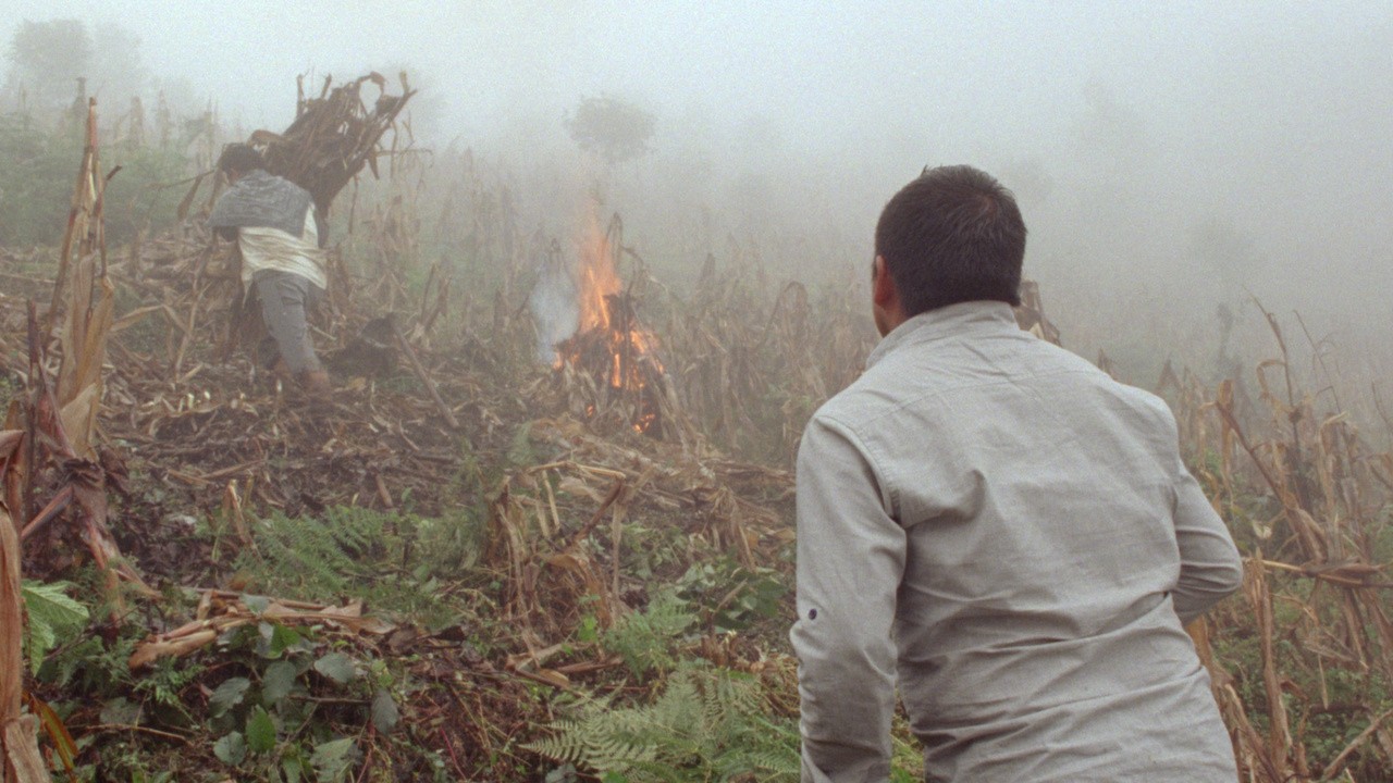 The Fire of a Firefly (2023) | MUBI