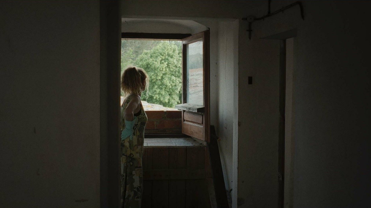 The Source of a River, a Night Stream (2023) | MUBI