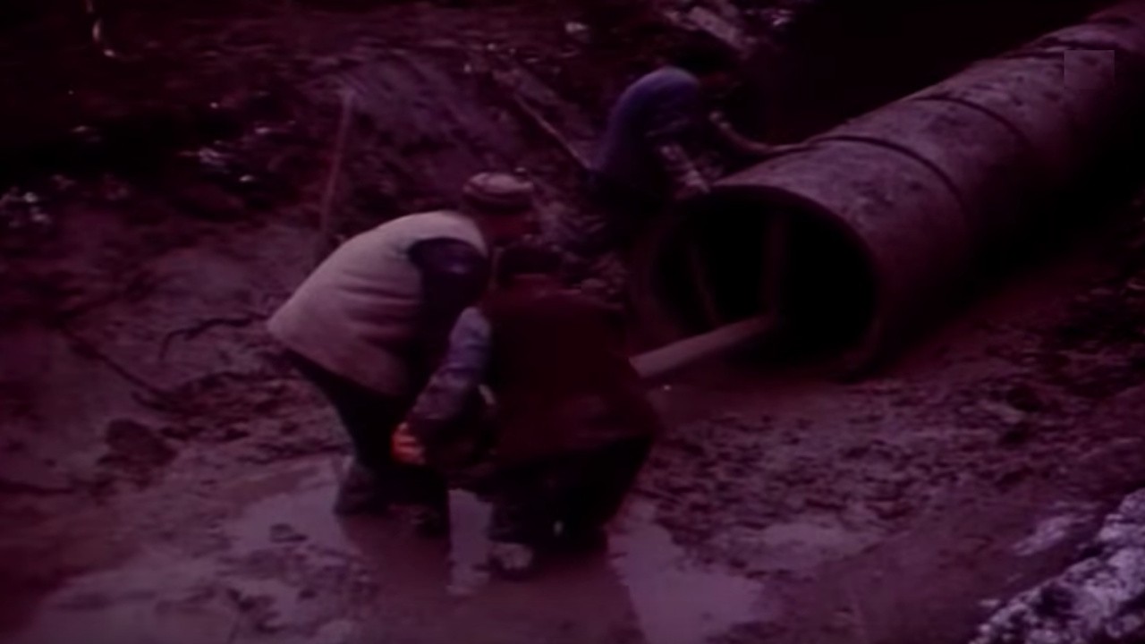 Diggers (1973) | MUBI