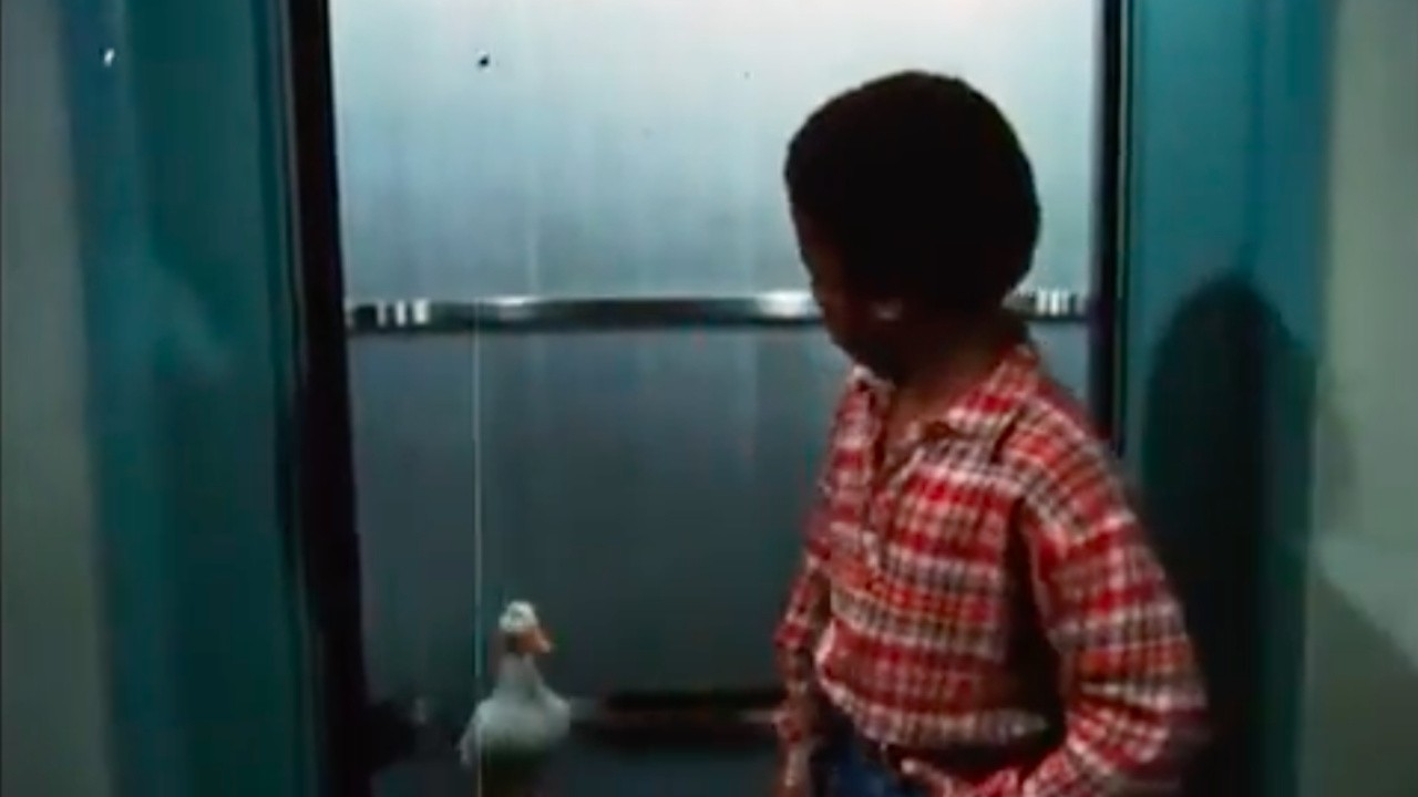 The Case of the Elevator Duck (1974) | MUBI