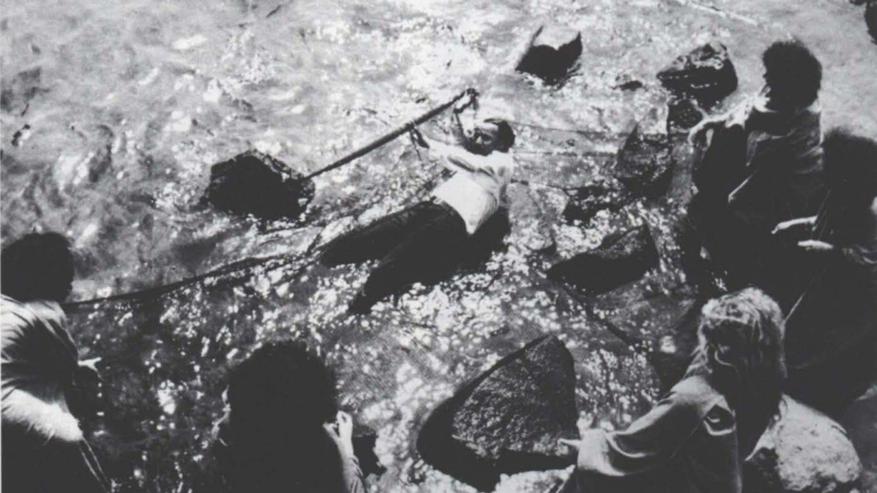 Violet Bay (1991) | MUBI