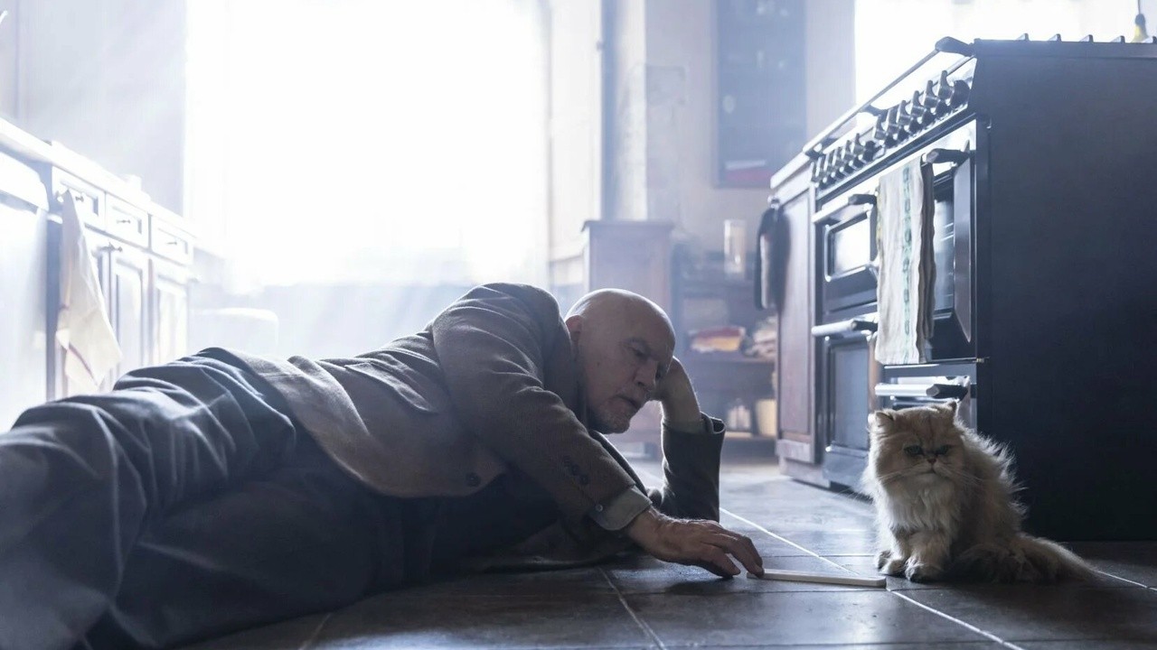 Well Done! (2023) | MUBI