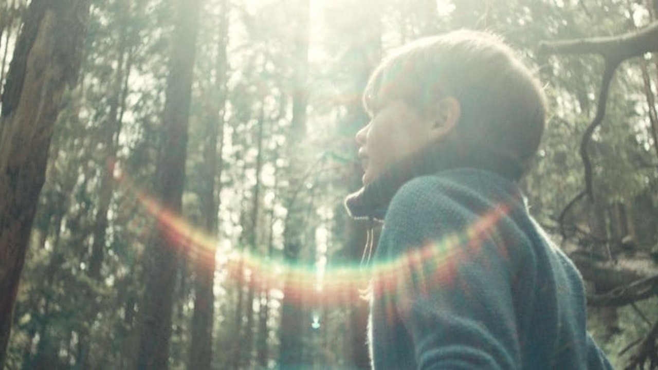 Birds (2023) | MUBI