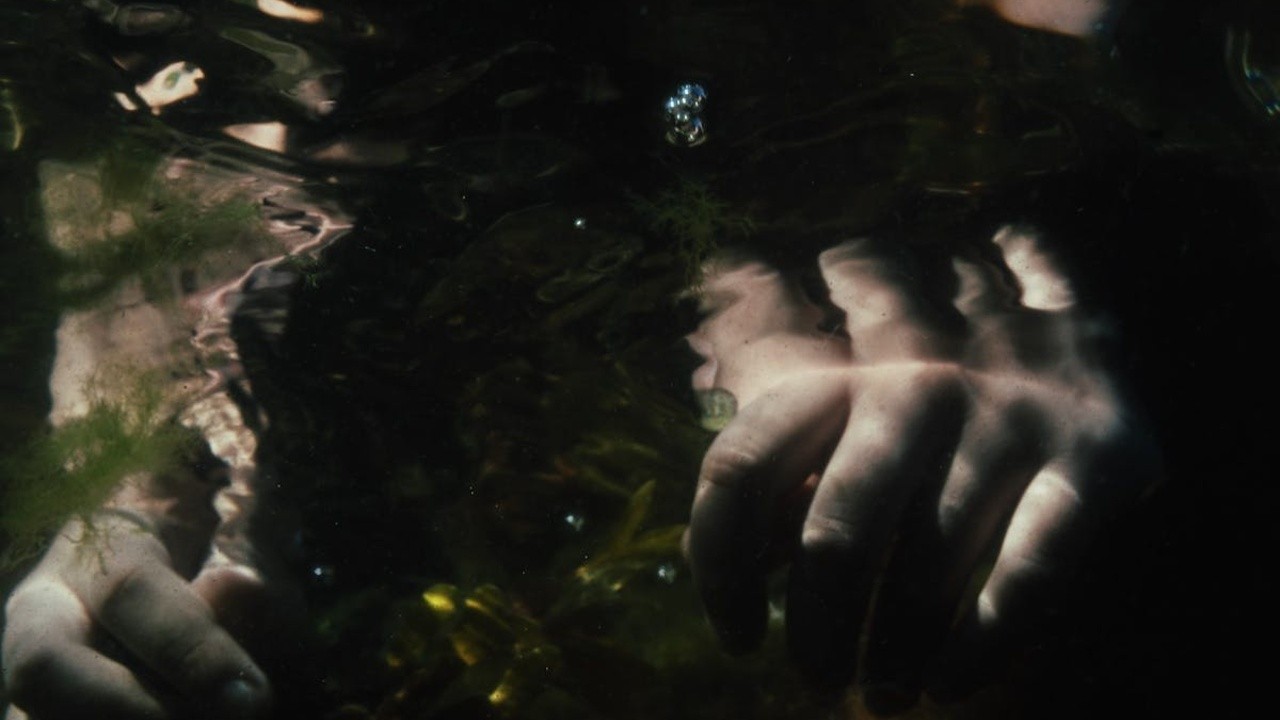 Where the Light Breaks Into Shards (2023) | MUBI