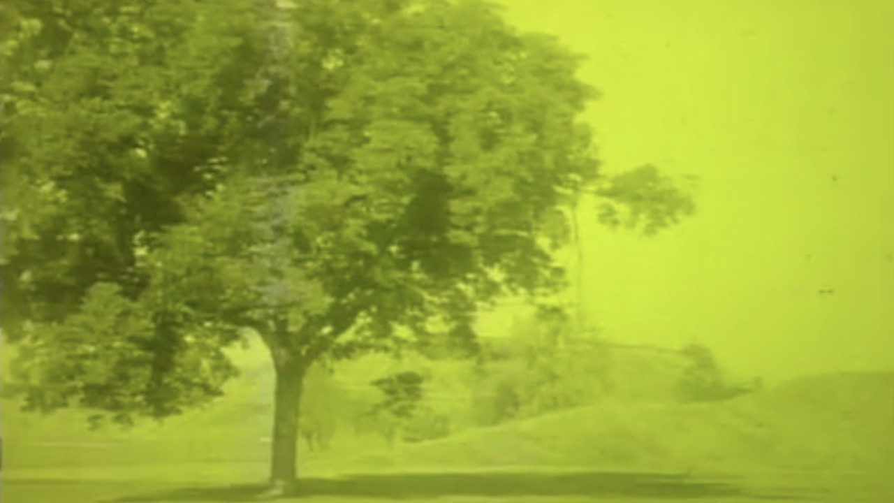 Landscape Film (2009) | MUBI