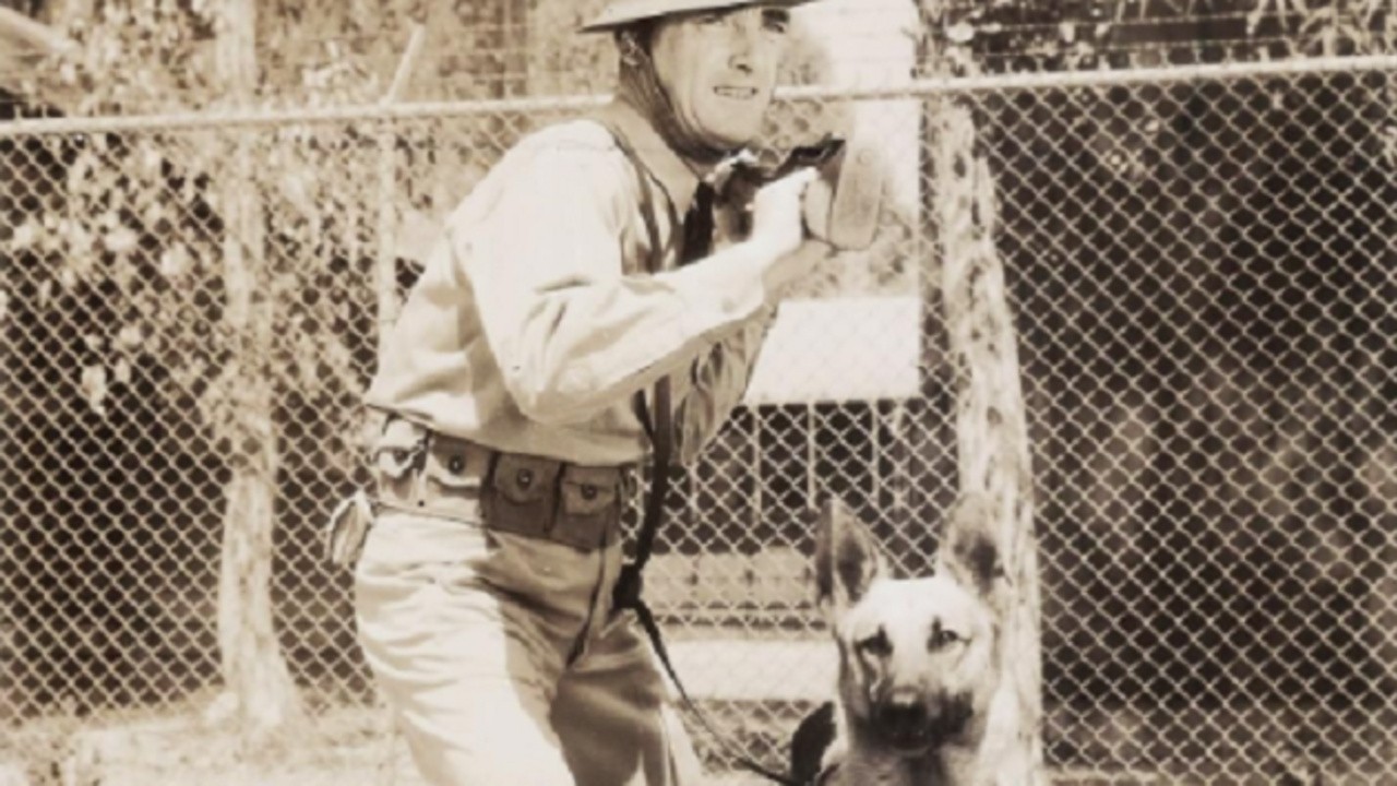 War Dogs (1942) | MUBI