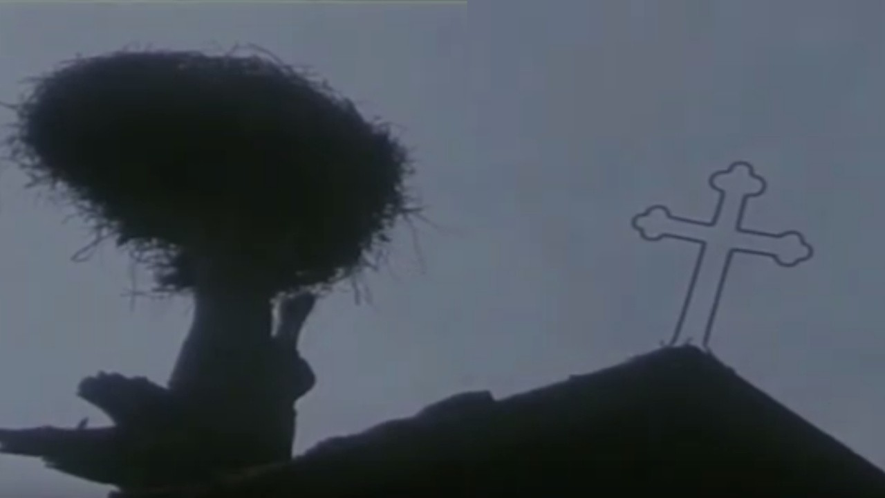 Life (2000) | MUBI