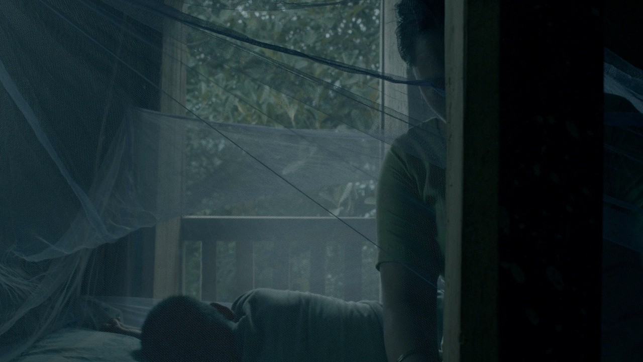 The Witness Tree (2023) | MUBI