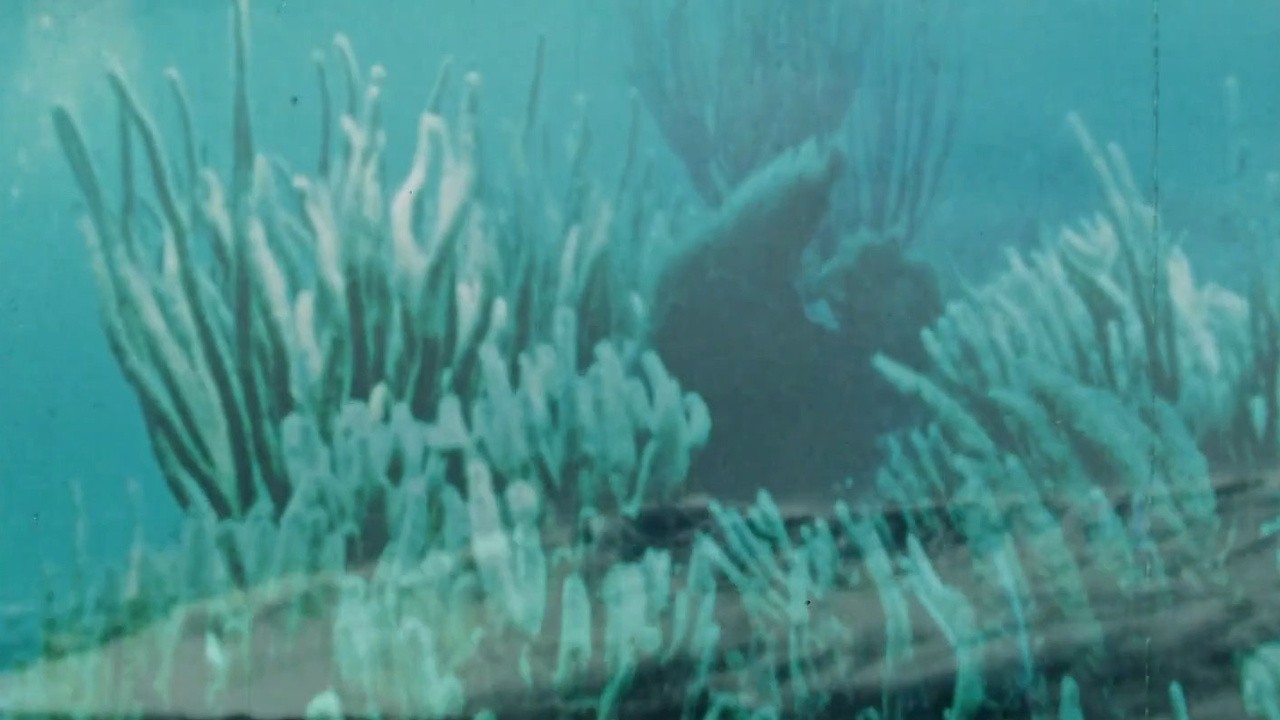 Cold Holy Water (2019) | MUBI