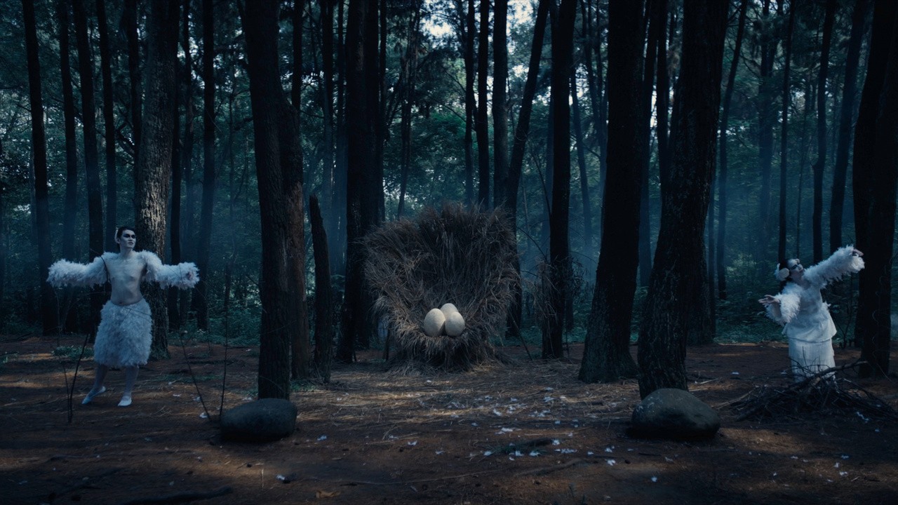 The Wolf & The Swans (2023) | MUBI