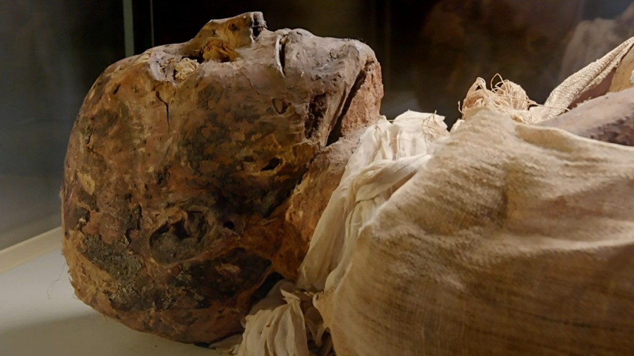 Mummy Mysteries (2020) | MUBI