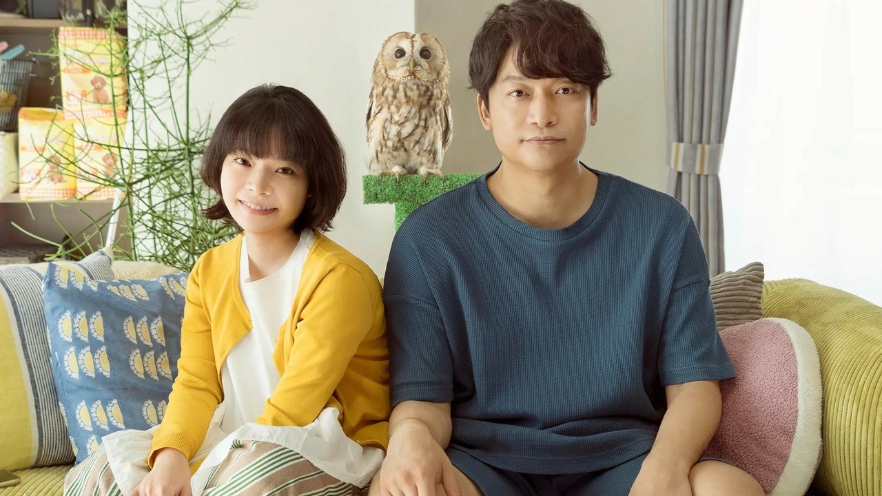 Everything Will Be Owlright! (2022) | MUBI