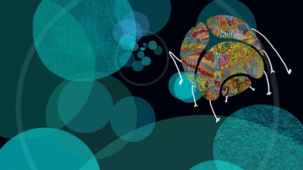 A Little Beetle Returns (2023) | MUBI