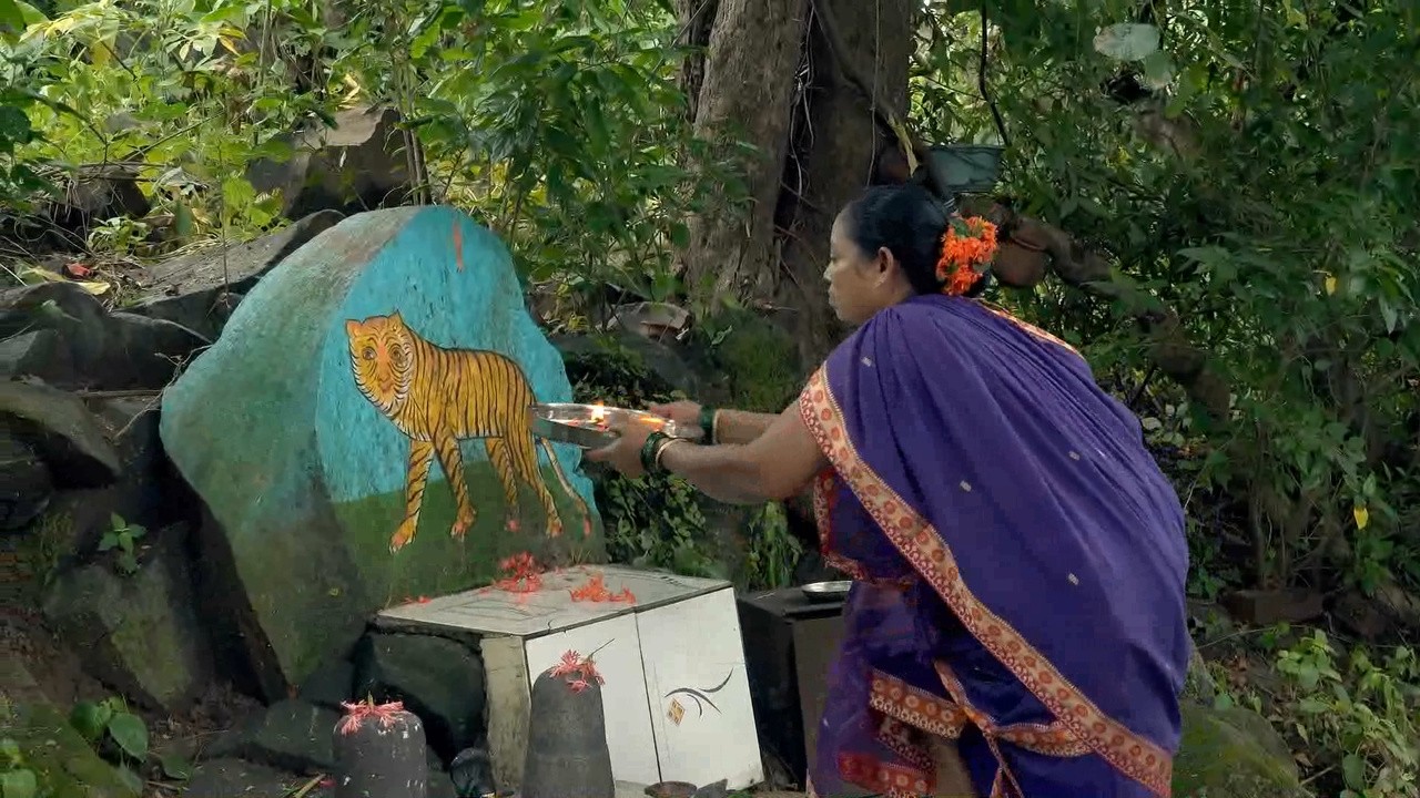 The Leopard's Tribe (2022) | MUBI