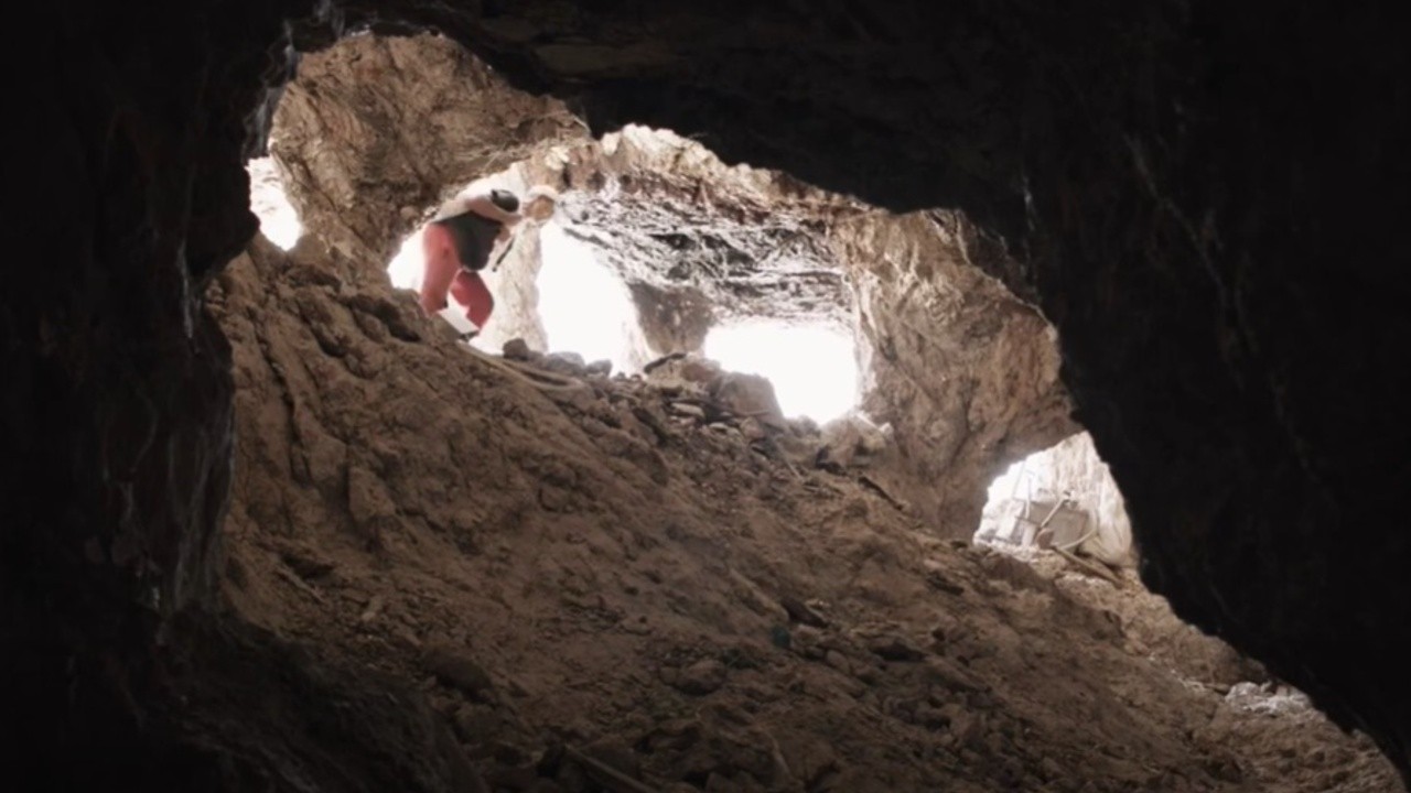 Stone Lung (2023) | MUBI