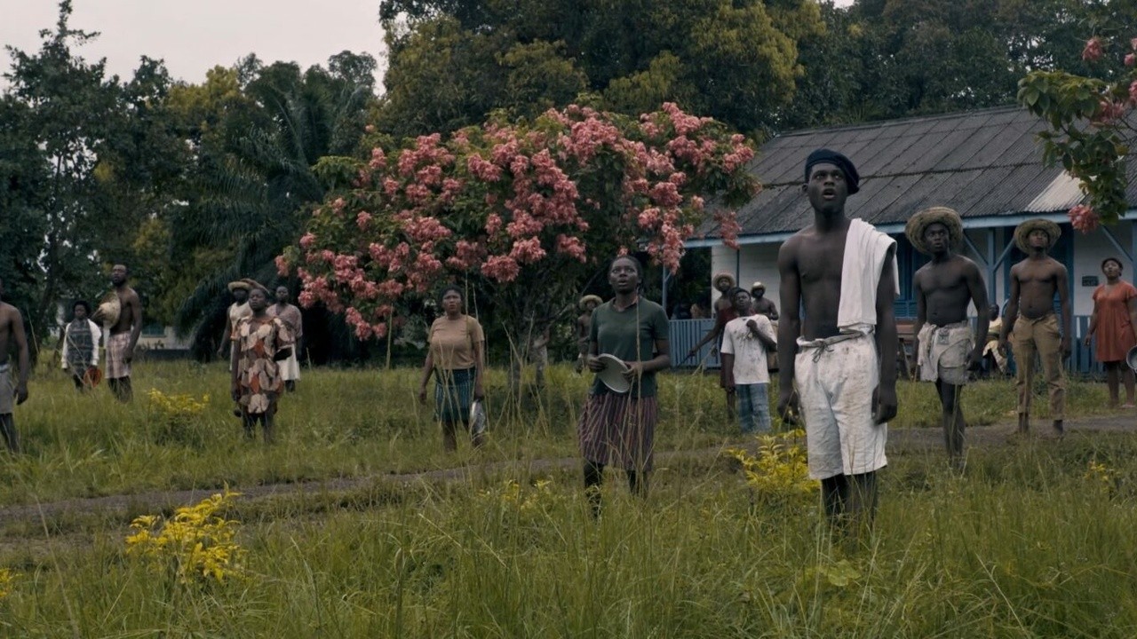 The Planters Plantation (2022) | MUBI