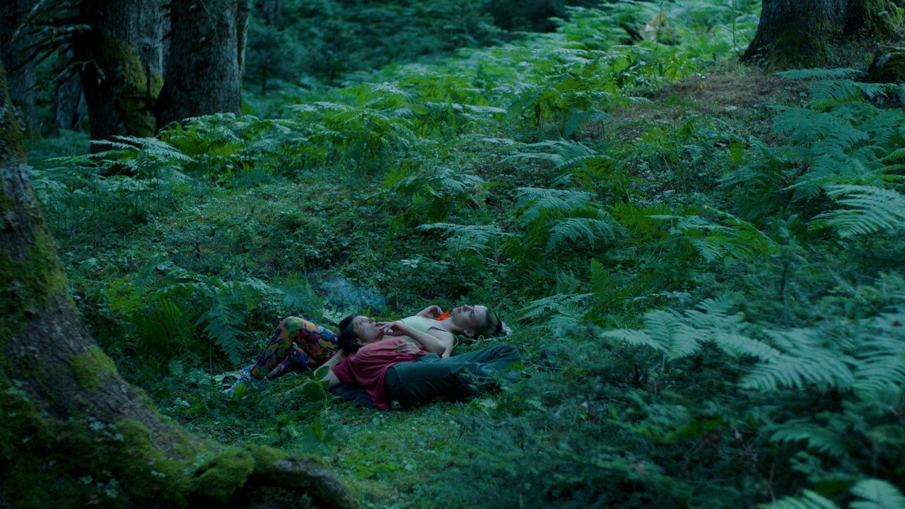 Bearcave (2023) | MUBI