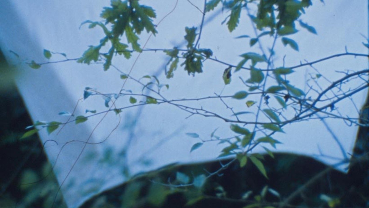 White screen (for amy halpern) (2023) | MUBI