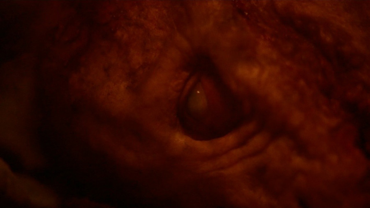 Abominations (2023) | MUBI