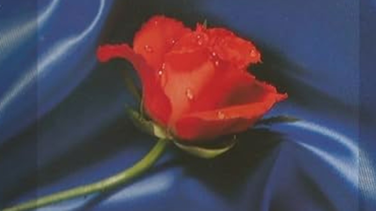 Lyrics by Tim Rice (1985) | MUBI