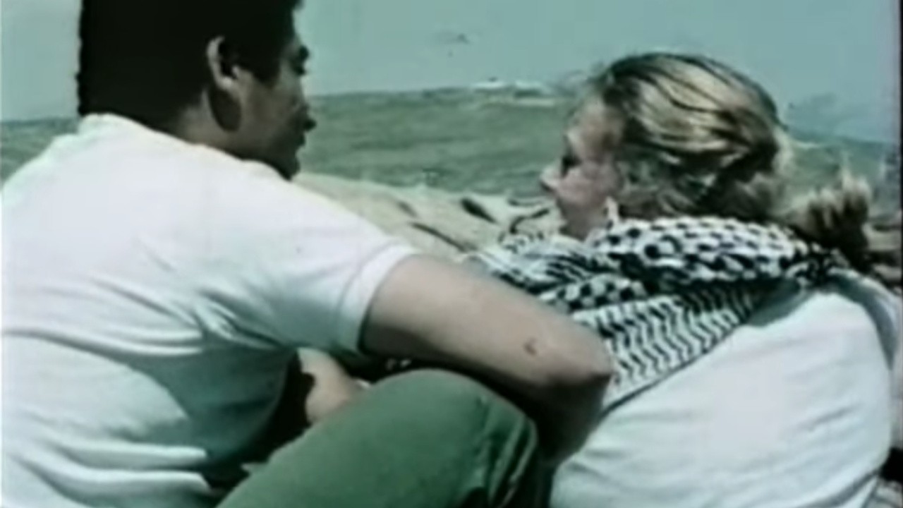 The Palestinian (1977) | MUBI