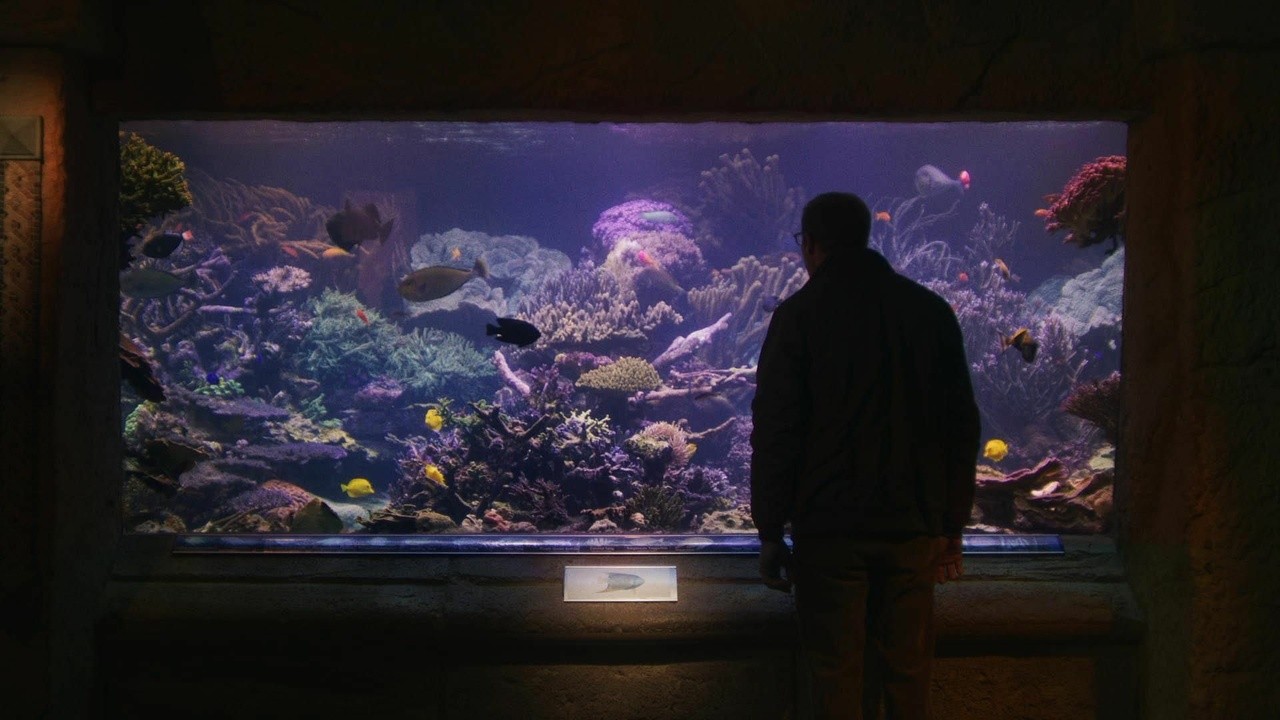 Relaxing Old Footage with Joe Pera (2020) | MUBI